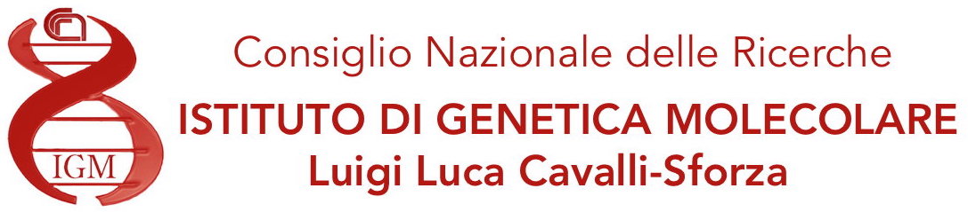 Research Activity - IGM